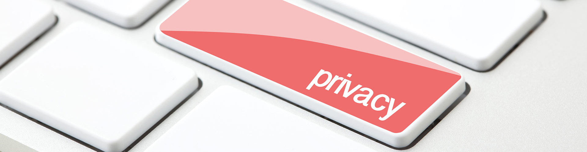 Terms of Use & Privacy